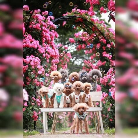 Caprice Coco Capricecoco • Threads Say More