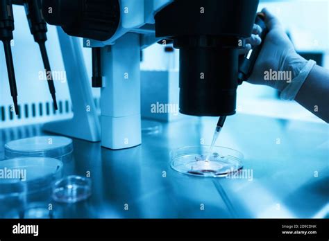 Microscope Of Reproductive Medicine Clinic Fertilizing Egg Outside Female Body Stock Photo Alamy