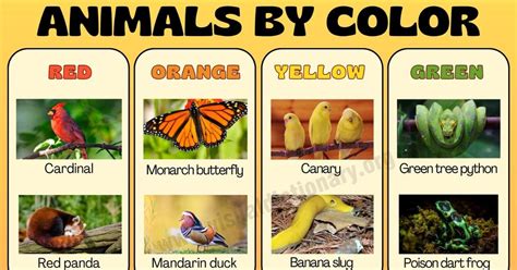 List Of Purple Animals 23 Most Unusual And Beautiful Creatures In The