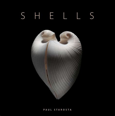 Shells Book By Paolo Portoghesi Paul Starosta Official Publisher