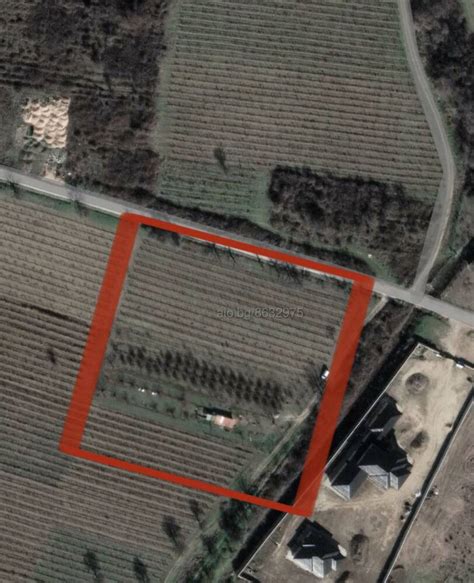 Марково Продава земя Лозе 1685 кв м пета категория Земеделска земя градини лозя гора