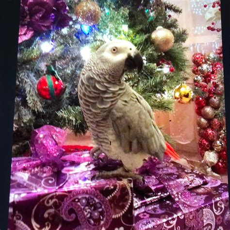 Sally Amaro Facebook