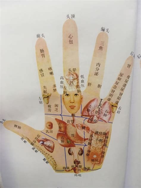 手掌全息对应图手掌全息图大山谷图库