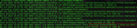 【linux】安装tomcat详细教程（图文教程） linux安装tomcat csdn博客