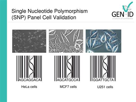 Ppt Cell Authentication And Validation Powerpoint Presentation Free