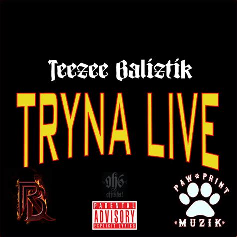Tryna Live Feat Baliztik Youtube Music
