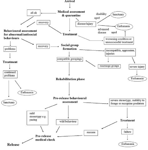 Decision Tree For Rehabilitation Download Scientific Diagram