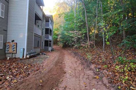 Gallery Of Next Level Tree And Excavation