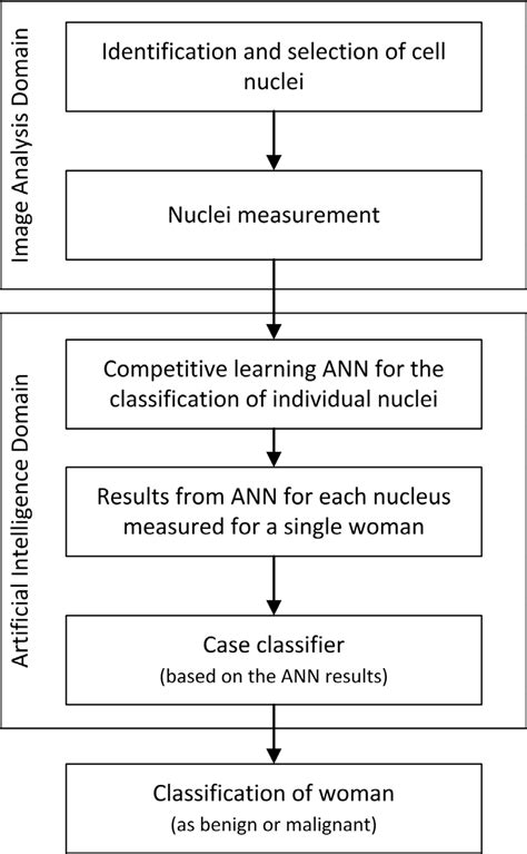 Flow Chart Of The System Architecture Download Scientific Diagram