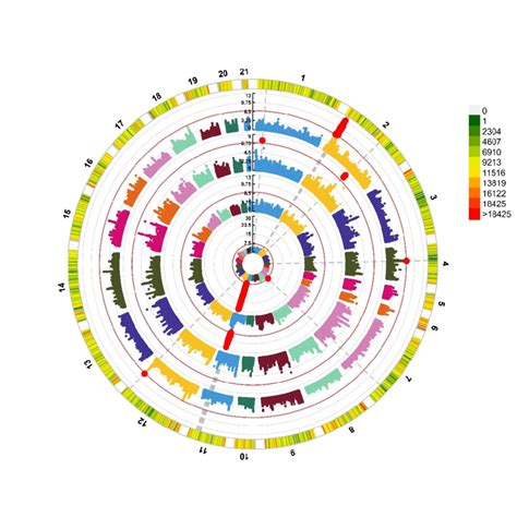 Circle Manhattan Plot Showing Associations Between Single Nucleotide Download Scientific
