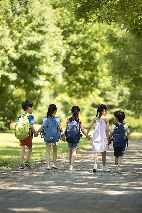 孩子们背着书包去上学图片下载 花瓣网