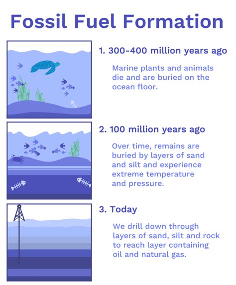 Fossil Fuels Formation