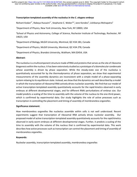Pdf Transcription Templated Assembly Of The Nucleolus In The C Elegans Embryo