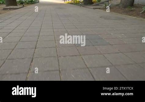 Movement Along A Paved Pedestrian Walkway Unrecognizable People Walk