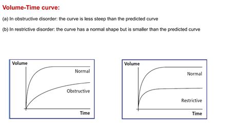Basic Anatomy Of Lungs And Spirometry Ppt