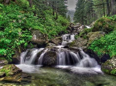 Рила Национални паркове в България