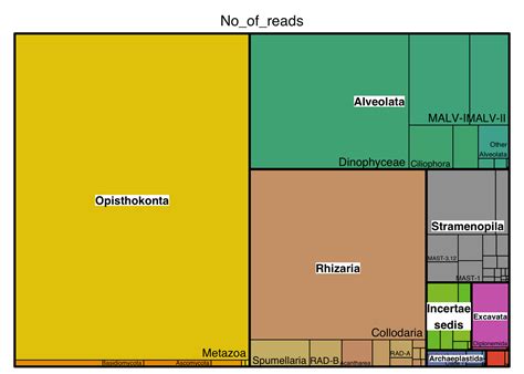 3 Exploring Microbial Diversity Environmental Diversity Of Microbial Eukaryotes