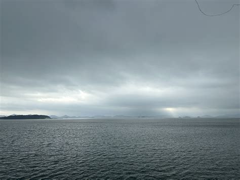 척추 퇴행성 디스크 증상 경추 흉추 요추 목 허리 모든것들