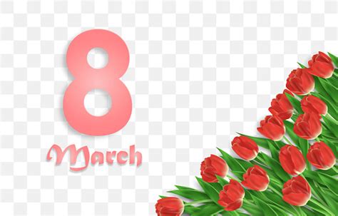 벡터 현실적인 튤립입니다 투명한 배경에 고립된 나뭇잎을 가진 빨간 튤립 꽃 벡터 봄 배너와 행복 한 여성 어머니의 날과 생일 축하를위한 자연 디자인 0명에 대한 스톡 벡터