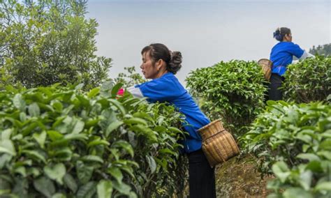 The CGIAR Platform For Big Data In Agriculture Leveraging New Tools For Gender Equality CGIAR