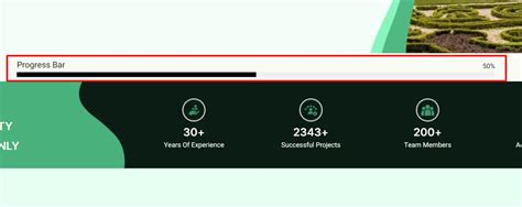 How To Add Progress Bar To Your Elementor Website