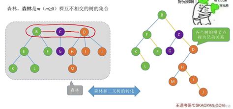 王道数据结构第五章：树与二叉树 王道树与二叉树 csdn博客