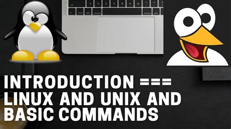 Introduction To Linux And Unix Basic Commands With Practical Youtube