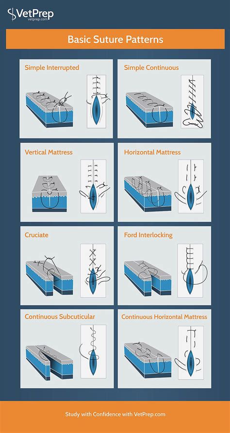 Infographic Basic Suture Patterns Artofit