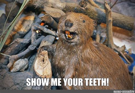 Meme Show Me Your Teeth All Templates Meme