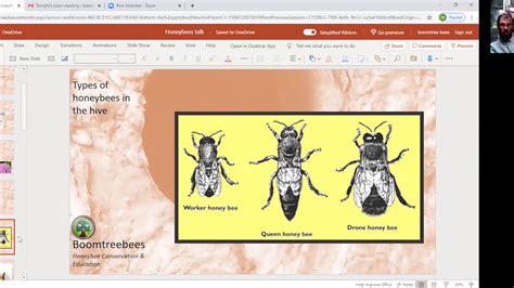 Honeybees Towards A Sustainable Approach Youtube
