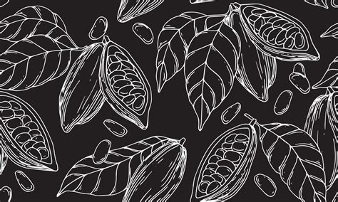 Cocoa Beans Pattern Vector Art Icons And Graphics For Free Download