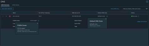 enable dns resolution for oracle cloud vmware solution management vms and esxi host from nsx t