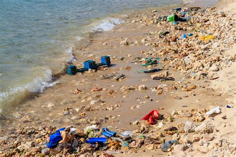 바다의 은행에 쓰레기 바다의 오염 폐기물과 바다 물 플라스틱 쓰레기 플라스틱 쓰레기와 바다 바다와 강 해안선의 오염의 개념 0명에 대한 스톡 사진 및 기타 이미지 Istock