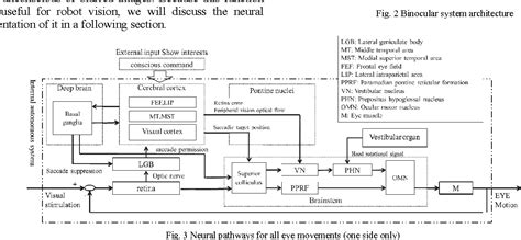 Figure 3 From An Active Binocular Integrated System For Intelligent Robot Vision Semantic Scholar