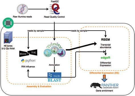 Overview Of The Bioinformatics Pipeline Used In This Study Download Scientific Diagram
