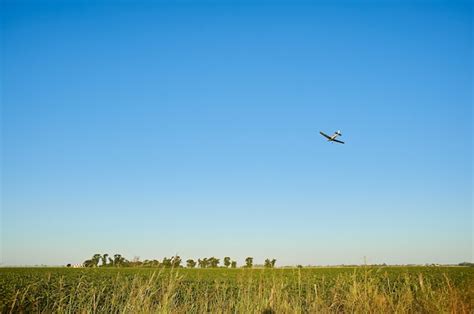 Airplane Grassland Images Free Download On Freepik