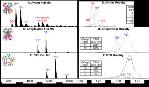 Full Mass Spectra And Extracted Mobility Distributions And Experimental