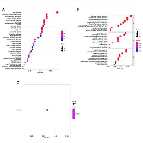 Biological Processes Were Identified By Functional Enrichment