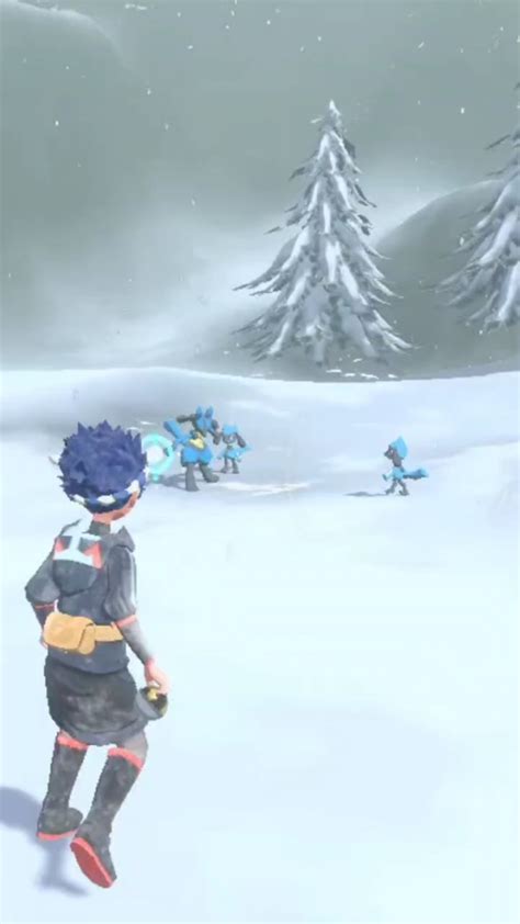 8 Shiny Riolu Rshinypokemon