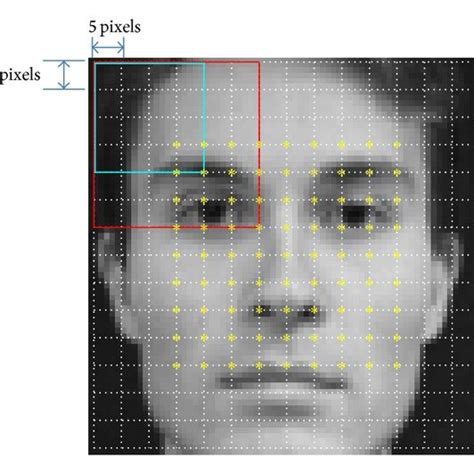 The Proposed Facial Feature Localization Method Yellow Rectangle On Download Scientific
