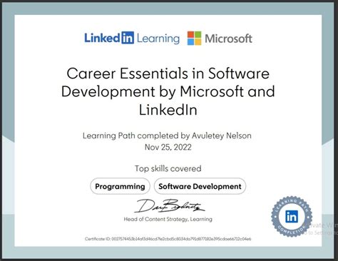 Avuletey Nelson On Linkedin Programming Softwaredevelopment Career