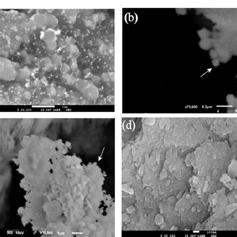 Sem Images Agtio 2 Sio 2 Of Agglomerate Of Particles Download