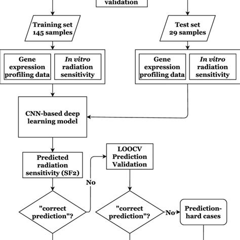 Overall Flowchart Of The Radiosensitivity Prediction Model Download