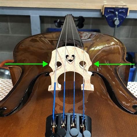 Cello Bridge French Vs Belgian At John Dumas Blog