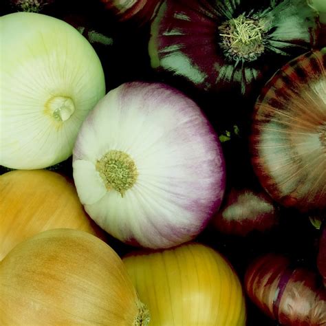 What Is Causal Factor Charting