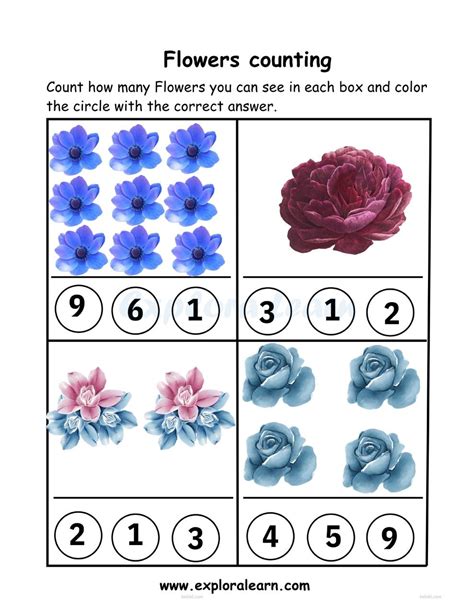 Count And Circle Type 1