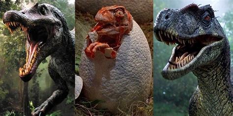 What Special Effects Were Used In Jurassic Park At Jimmy Koonce Blog