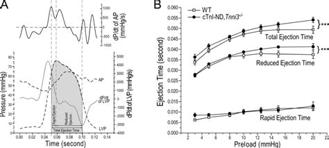 Ctni Nd Tnni3 − − Hearts Have Longer Lv Ejection Time At High Preload
