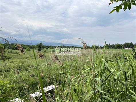 Пловдив Земеделска земя Земеделска земя 7500 кв м Не е посочено Земеделска земя градини