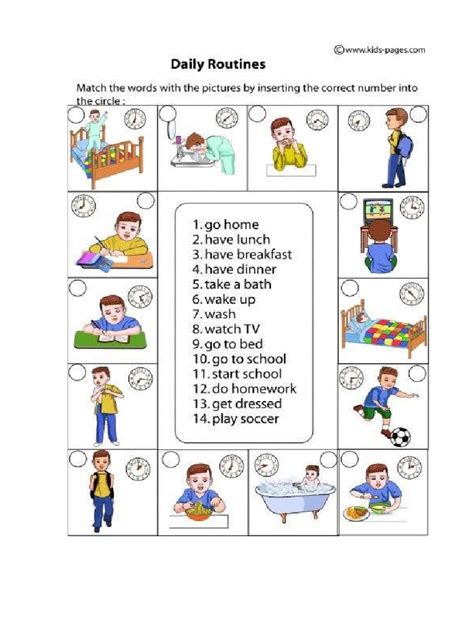 Daily Routines For Adults